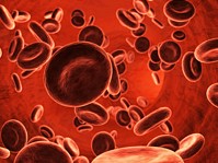 Badanie krwi. Morfologia | Zdrowie i medycyna